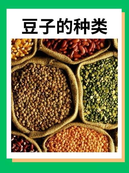 豆子有哪些种类图片及名称图标