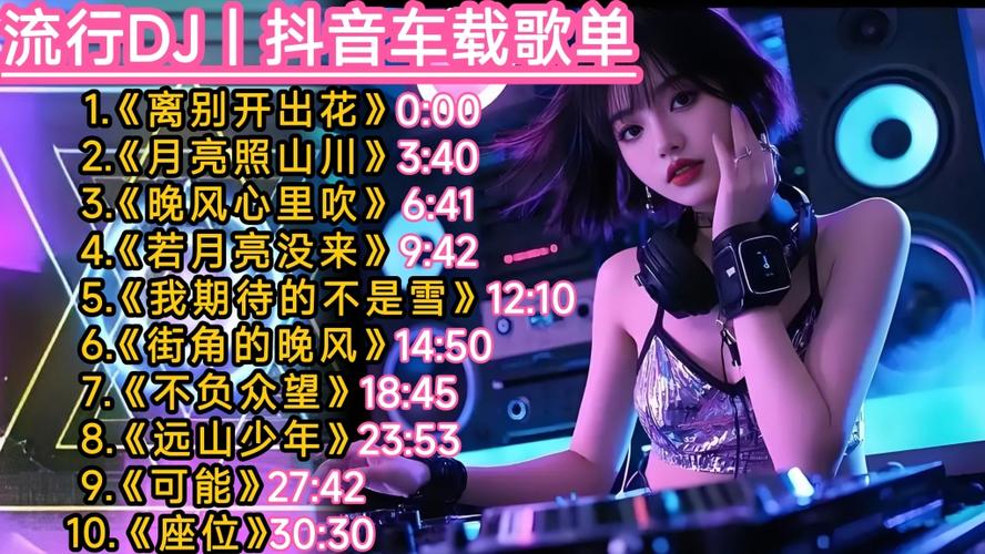 车载dj舞曲 超劲爆歌单游戏截图