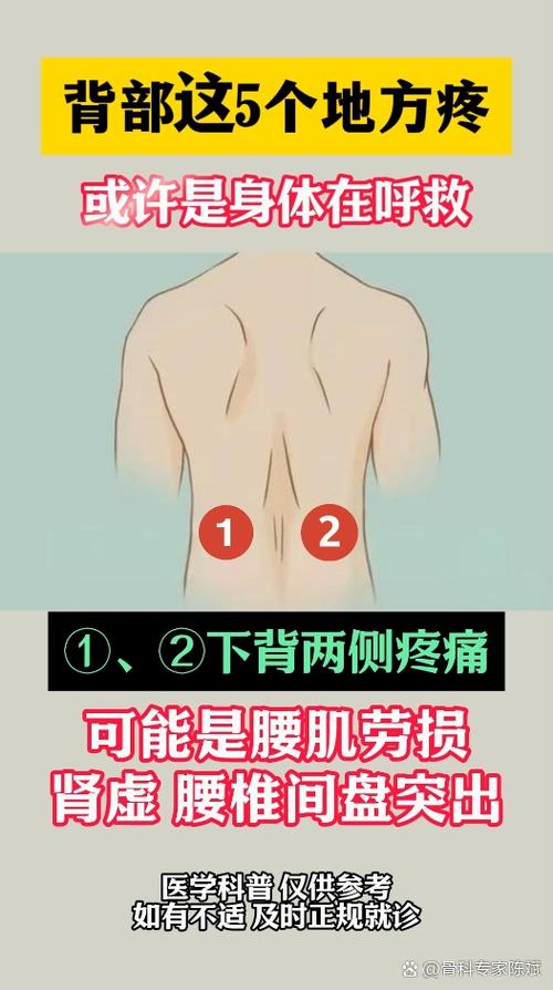 女人腰椎疼是什么原因图标
