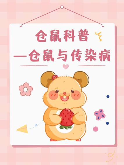 养小仓鼠会感染病毒给小孩吗截图