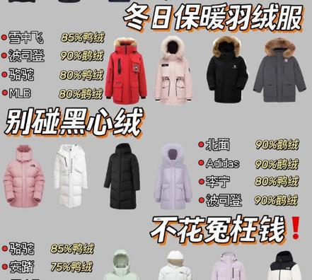 口碑最好的十大羽绒服截图