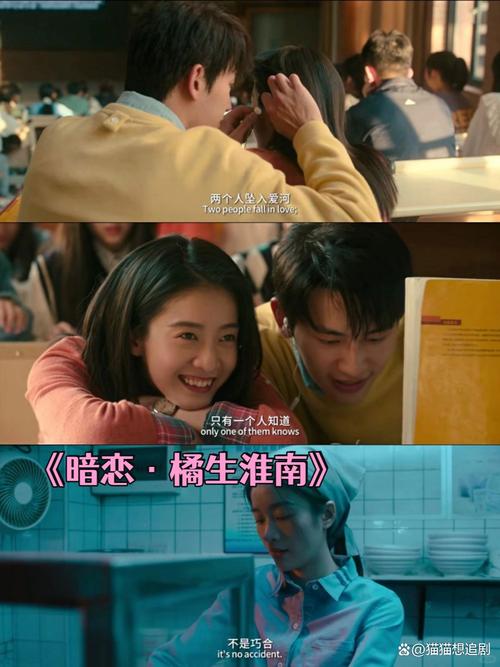 俄罗斯暗恋中国波兰球图标