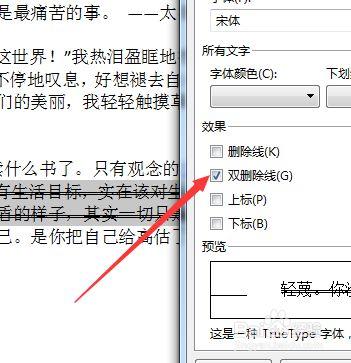 wps删除线截图