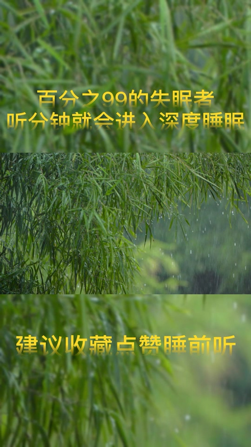 雷雨声助眠截图