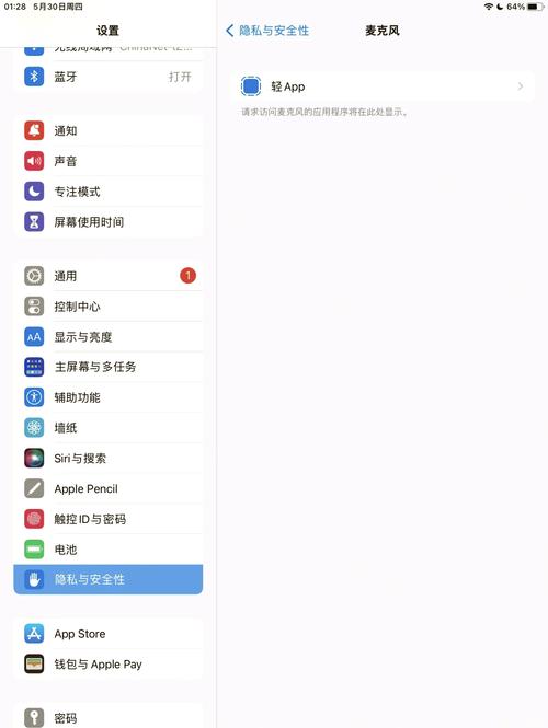 怎样打开麦克风权限设置ipad