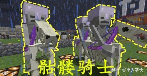 我的世界骷髅马骑士指令游戏截图
