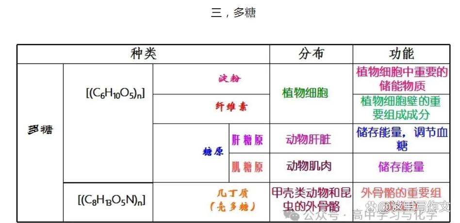 糖的分类和功能图标