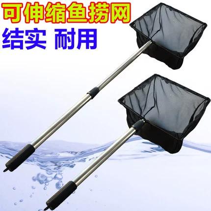 锦鲤网图标