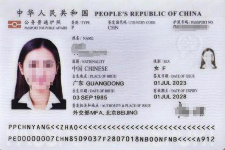 护照照片图标