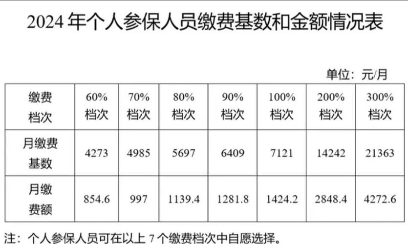 沈阳市社保个人缴费明细查询截图