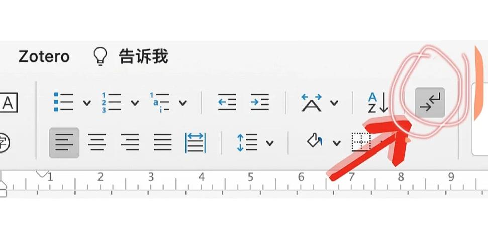 word删除分割线图标