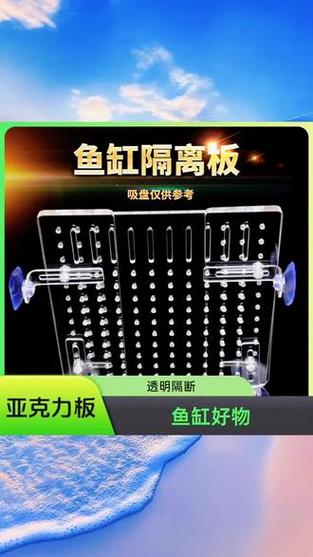 鱼缸怎么隔离最简单