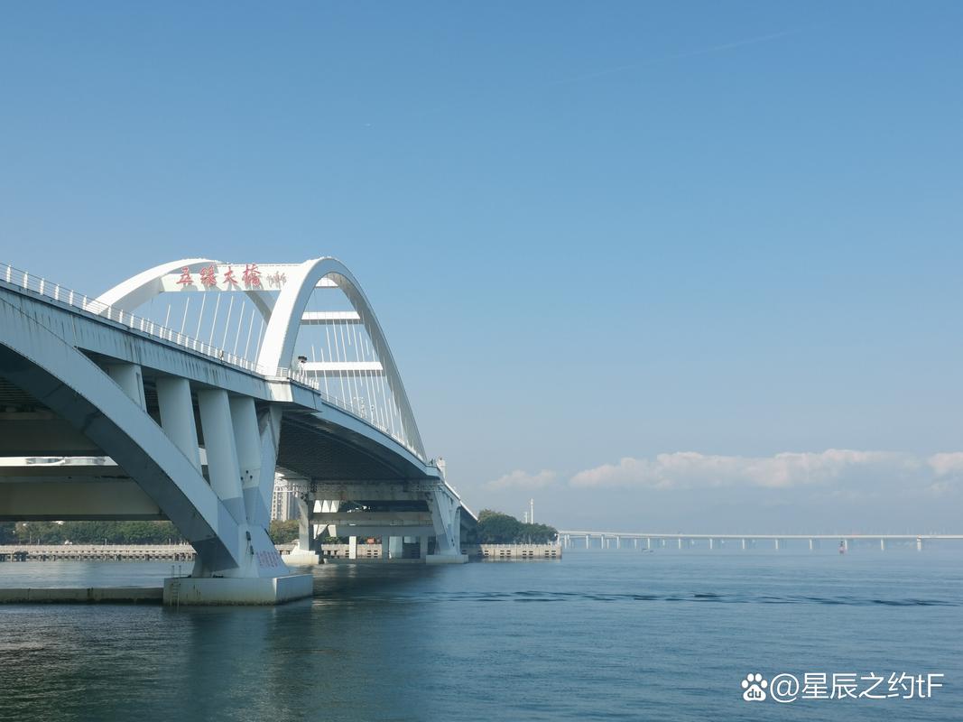 久远银海国内唯一图标