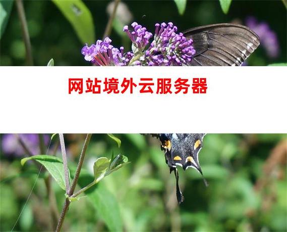 境外云服务器图标