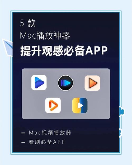 纯净播放器推荐图标