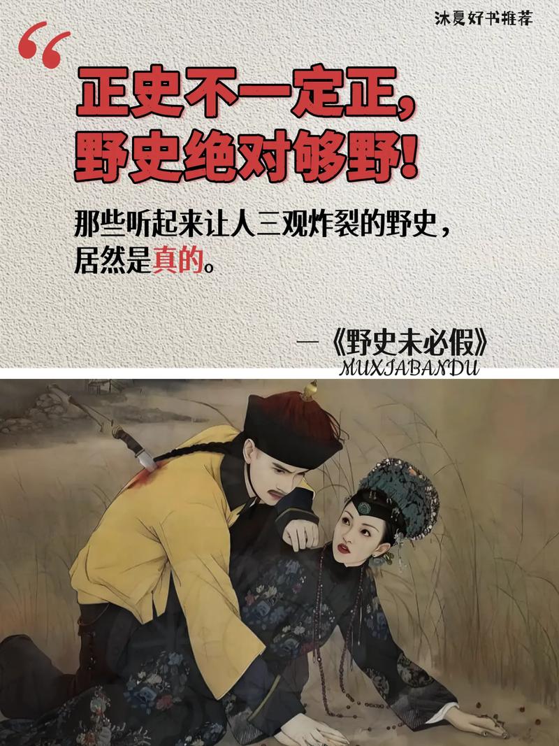 神雕野史外传图标