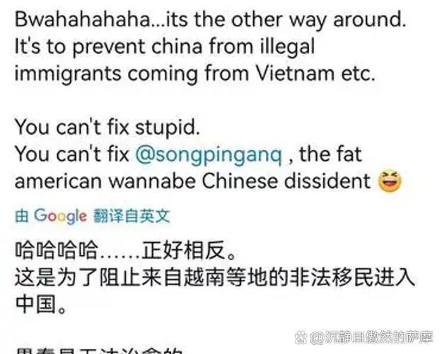 越南网民评论中国国力图标