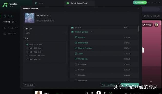 spotify会员多少钱一个月图标