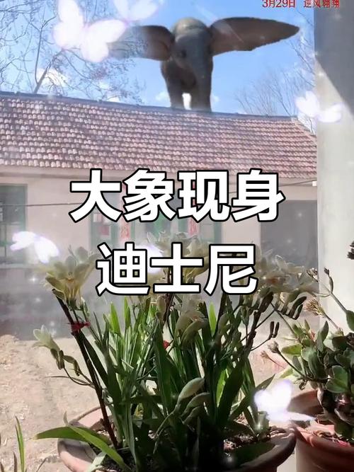 楼顶上的大象图标