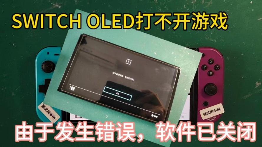 switch游戏发生错误软件关闭图标