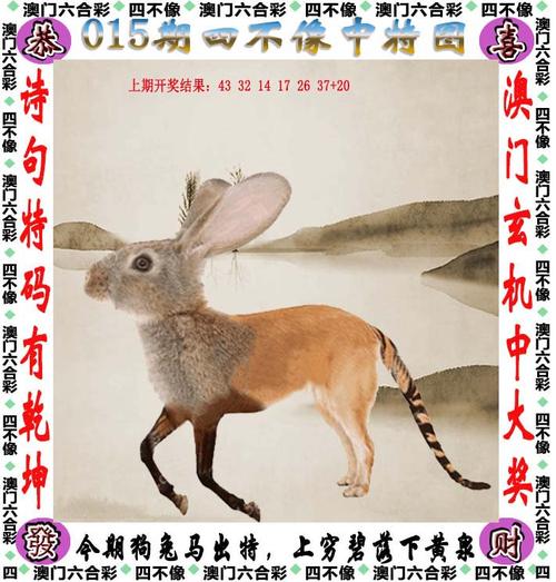 大赢家4949图标