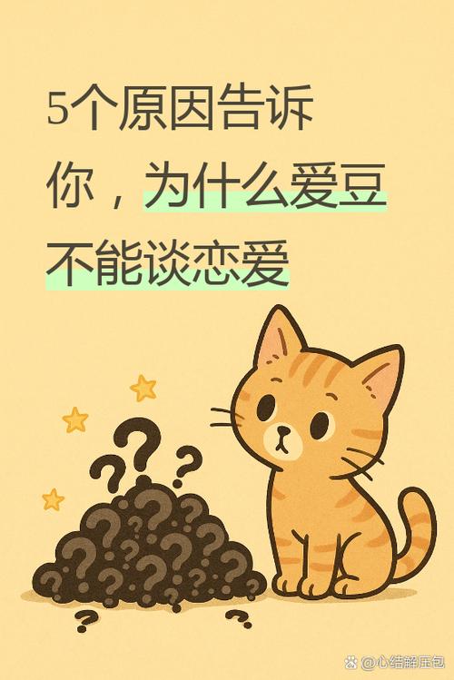 我的爱豆和我爱豆的爱豆图标