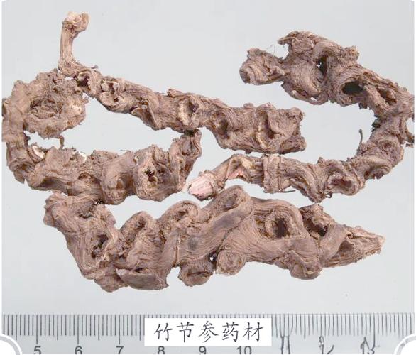 竹节是什么中药图标