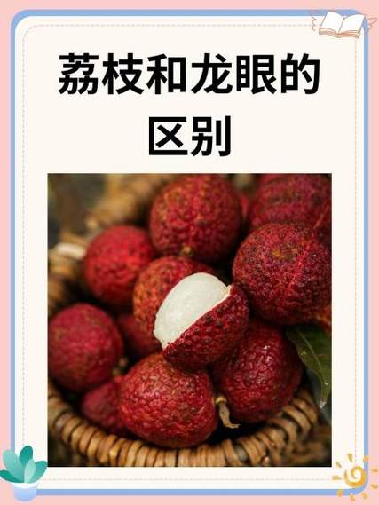 龙眼影评app官方下载入口图标