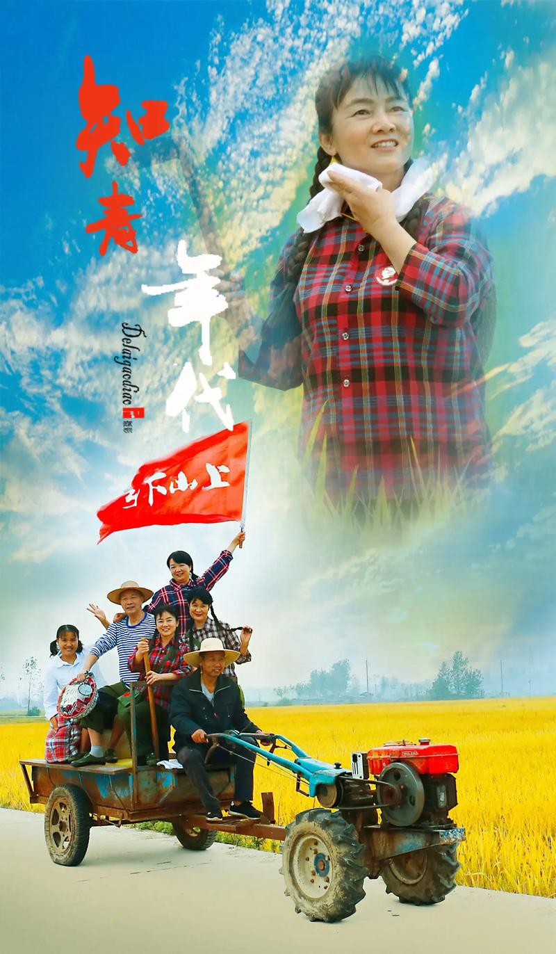 躁动的岁月免费