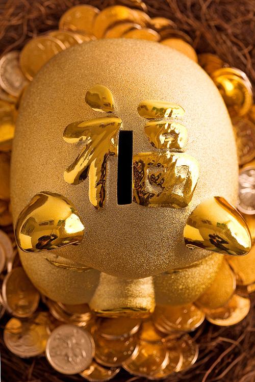 金猪抱财图标