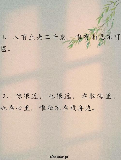 怎么高情商的向女生表达思念截图