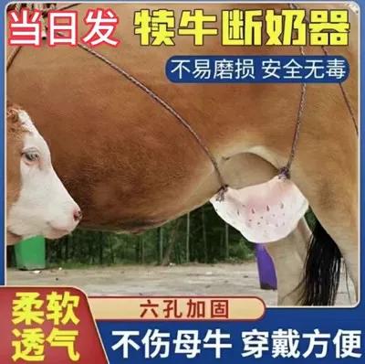 送胸罩的禁忌截图