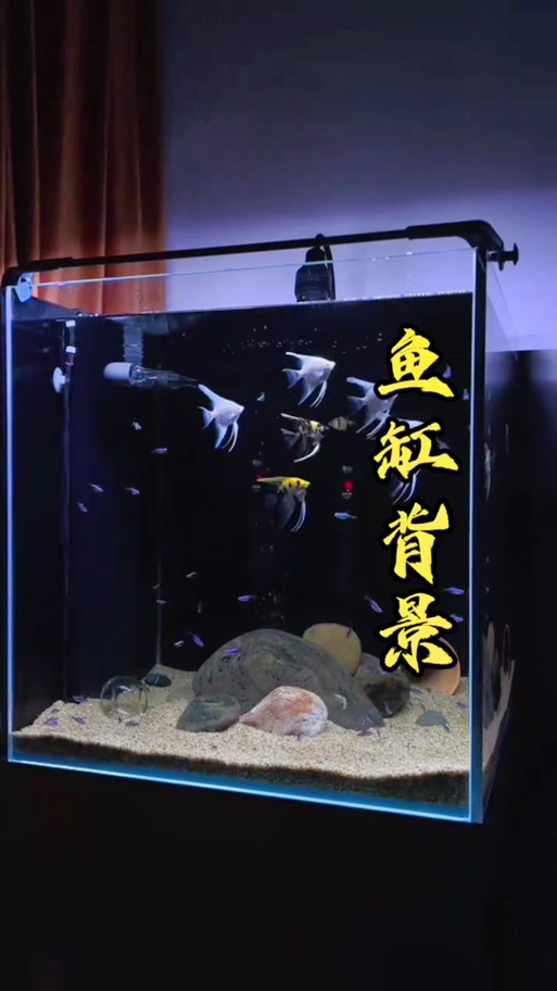 原生鱼缸背景贴黑吗截图