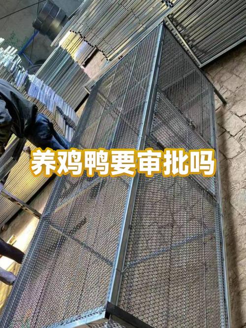 城市怎么养鸡鸭图标