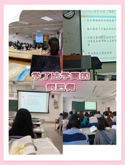 女孩学法学最聪明出路图标
