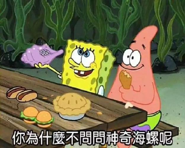 为什么不问问神奇海螺图标