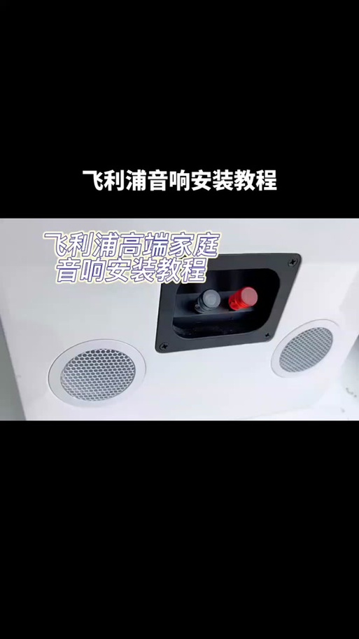 小飞投屏app下载截图