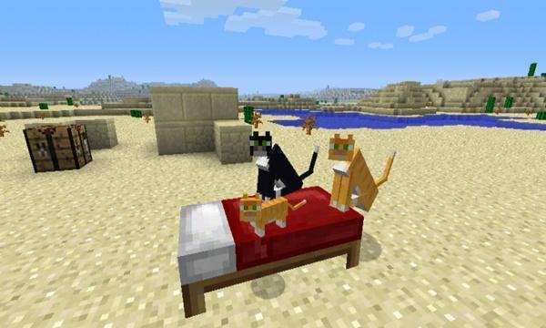 我的世界养猫图标