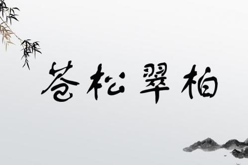 松字成语大全四个字图标