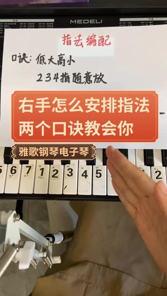 怎样学电子琴入门教学视频截图