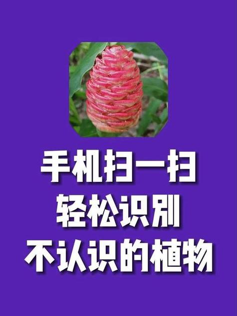 怎样用扫一扫识别一种中草药图标