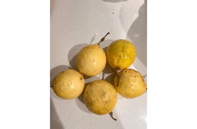 百香果汁能放冰箱多久图标