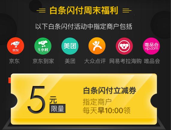 京东闪付支持打白条图标