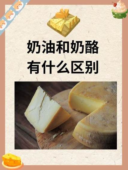 奶油奶酪和奶酪图标