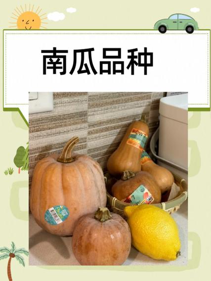 南瓜最好三个品种截图