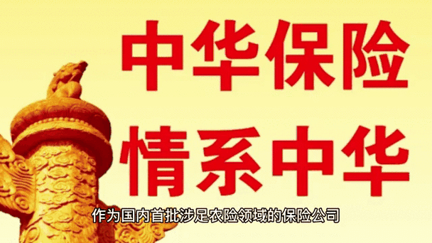 中华保险app图标