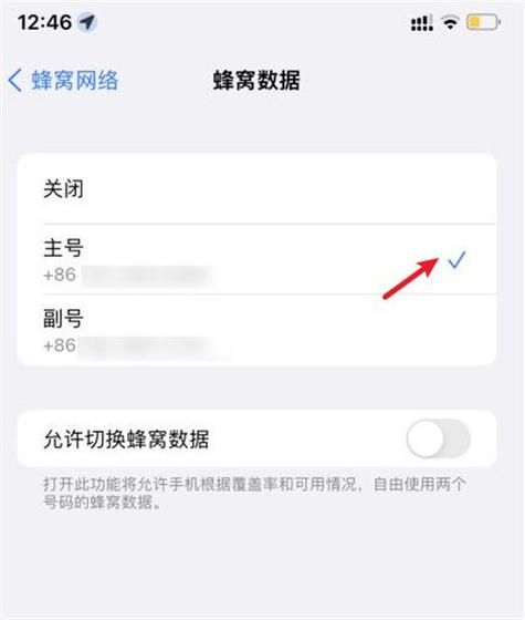 iphone 双卡双待设置图标