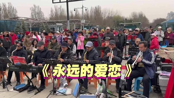 永远的爱恋演唱截图