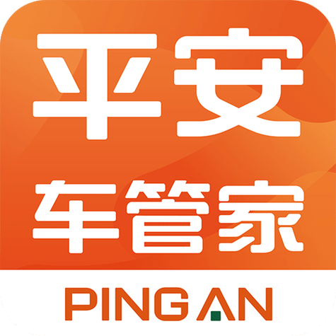 下载平安车管家app图标