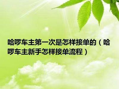 哈罗出行车主怎么接单图标